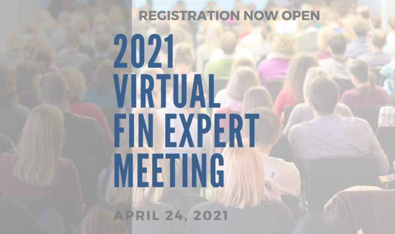 FIN Expert Meeting 2021 - Fabry International Network