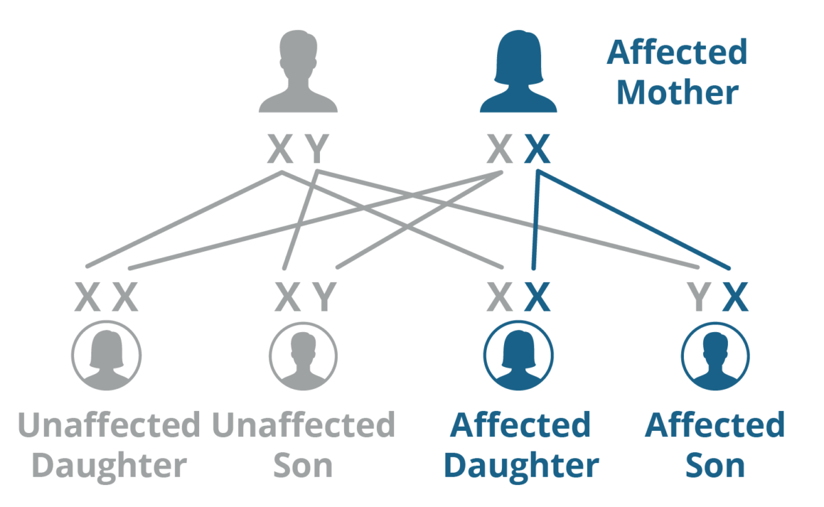 What is Fabry - Fabry International Network